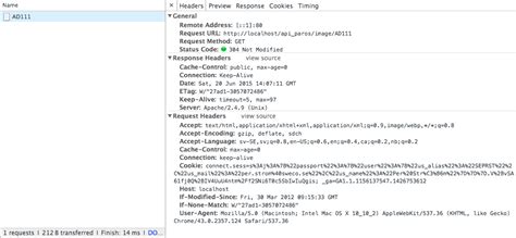 Javascript Grunt Connect Proxy Forwarding Files Does Not Work Stack Overflow
