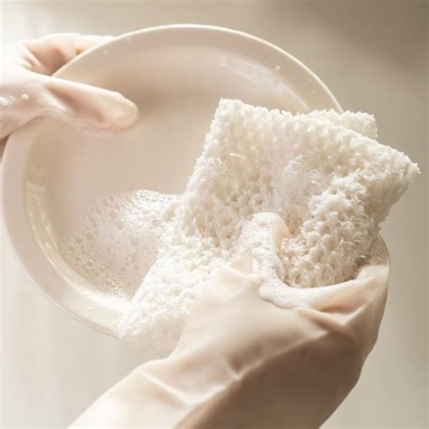 데코뷰 거품이 잘 나는 더블 메쉬 수세미 에누리 가격비교