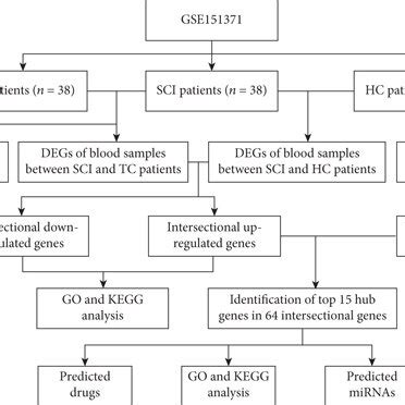 The General Flow Diagram Of This Study Download Scientific Diagram