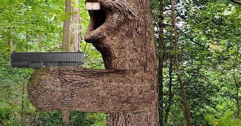 your going to git shot by a tree album on imgur