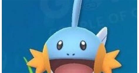 Have A Wholesome Meme For Mudkip Community Day Album On Imgur