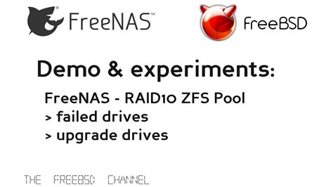 0x2 Demo Freenas Raid10 Zfs Pool Failed Drives And Upgrade Drives