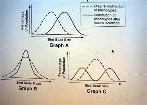 Solved Identify The 3 Types Of Natural Selection Indicates By Each Graph Please Include
