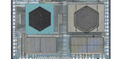 Avicena Shows Its Microled Based Lightbundle Multi Tbps Interconnect Converge Digest