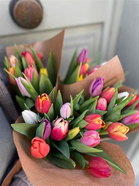 Brioenflor Tienda