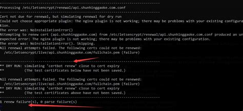 The Nginx Plugin Is Not Workingthe Error Was Noinstallationerror