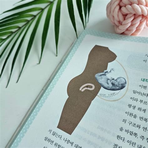 임신 3개월 배크기 9주 10주 11주 12주차 증상 태아 목투명대검사 네이버 블로그