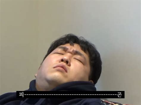 디자인부트캠프 Ux 리서치 준비