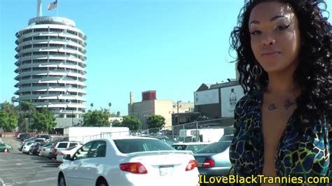 Nubian Busty Trap Pulling Her Cock Until Cum