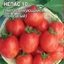 «Непас» - значит непасынкующийся! Неприхотливые томаты для открытого ...