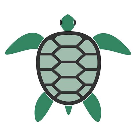 Premium Vector Turtle Vector Illustration Design Premium Vector Turtle Vector Illustration Design