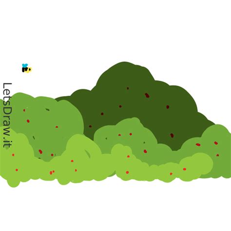How To Draw Bush Bobuxk3zw Png LetsDrawIt