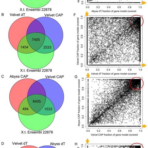 A Transcripts Assembled By The Abyss Assembler From Oligo Dt And Download Scientific Diagram