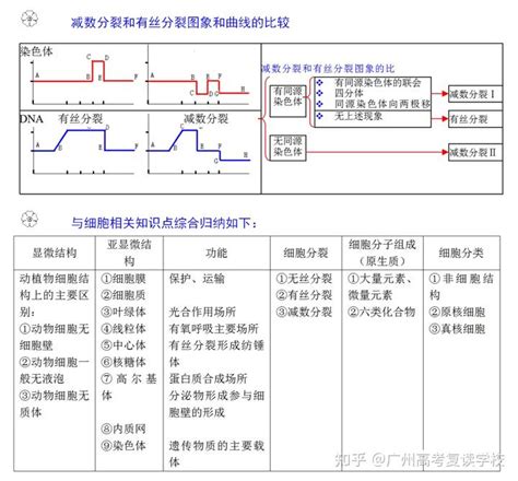 高中生物所有知识点思维导图汇总 知乎