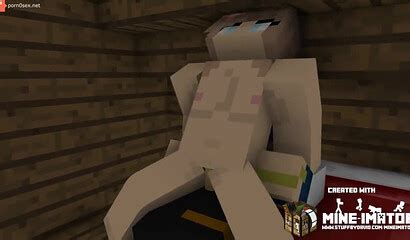 Square Sex From Minecraft