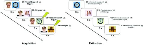 Acquisition And Extinction Procedures Example Of The Download