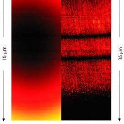 D Topography Map Left And D Mode Map Right Of The Mode With M L Download Scientific