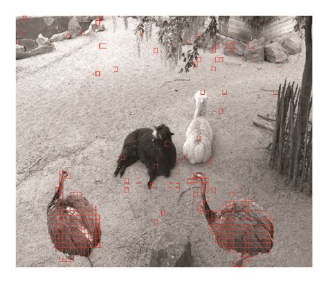 an example showing a an unaltered image and tampering detection