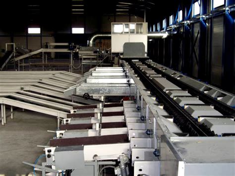 processing sorting grading sizing and packaging line for kiwi