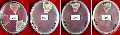 Isolation Characterization And Investigation On Potential Multi Trait Plant Growth Promoting