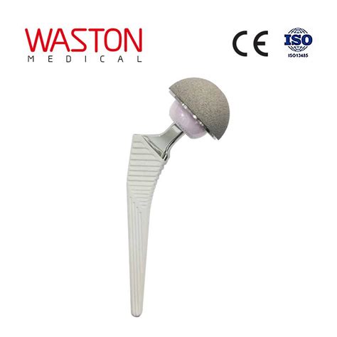 Biological Hip Prosthesis System Artificial Joints China