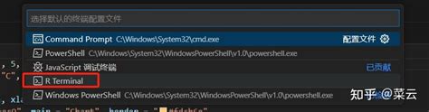 VS Code 搭建R语言环境 知乎