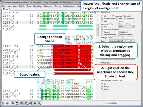 Icm Users Guide Alignment Editor