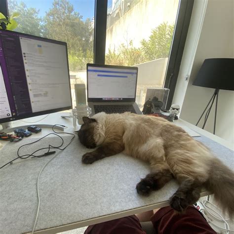 Artem Kunytsia On Linkedin I Was Gonna Post Another Smartsuite Feature