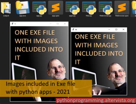 Exe Python Programming