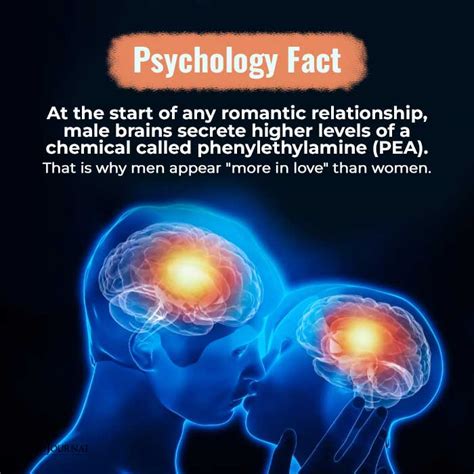 Male Brains Secrete Higher Levels Of A Psychology Facts