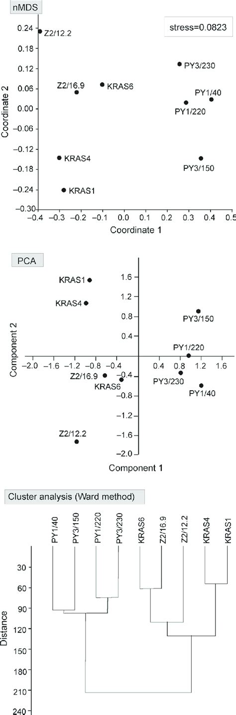 Classification Of Samples Based On Geochemical And Paleobiological Download Scientific Diagram