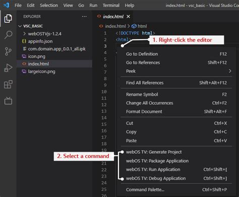 VS Code Extension Developer Guide WebOS TV Developer