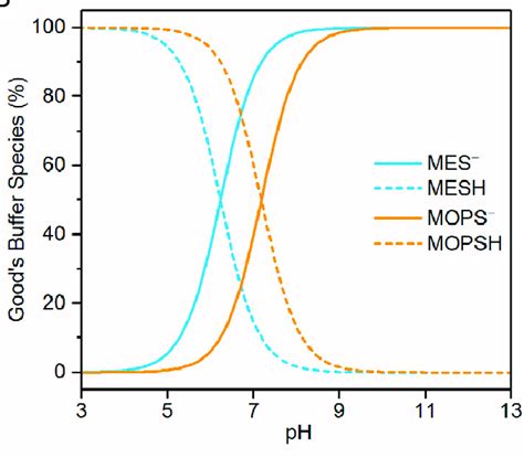 Mops Buffer Range At Rita Clark Blog
