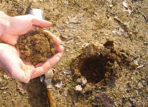 Soil Testing Total Ag Services