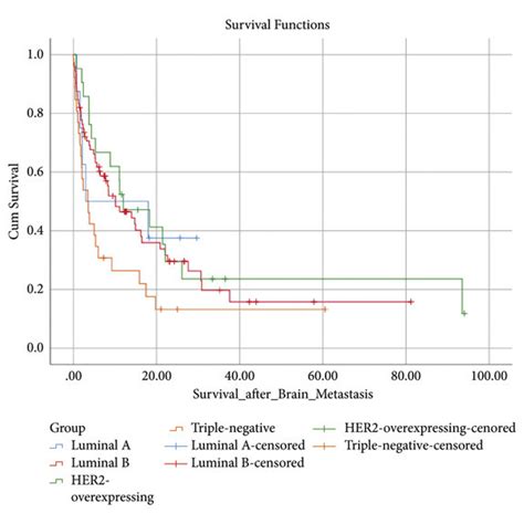 Survival Analysis According To Breast Cancer Subtypes Download Scientific Diagram