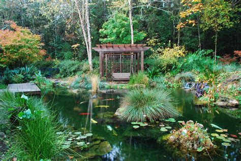 Koi Filters And Koi Pond Systems With Self Cleaning Filters