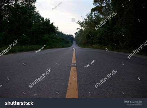 1 828 Tree Plantation Drive Images Stock Photos Vectors Shutterstock