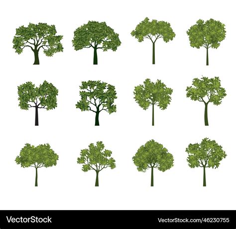 Set Of Green Trees With Leaves Isolated Royalty Free Vector