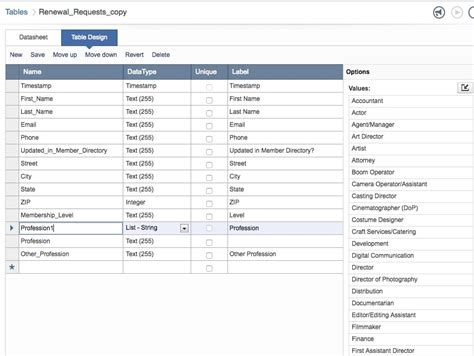 Display Values Instead Of Numbers For Multi Select Listbox User