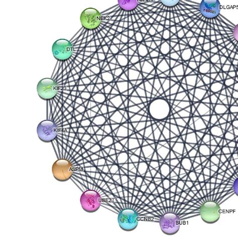 ppi network analysis of degs download scientific diagram
