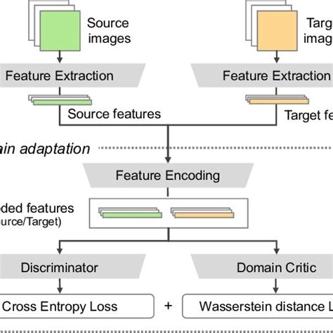 Domain Adaptation Wasserstein Domain Adaptation Maps Source And Target