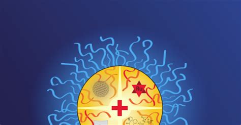 Core Cross Linked Polymeric Micelles Based On Polypeptoides From Secondary Structure