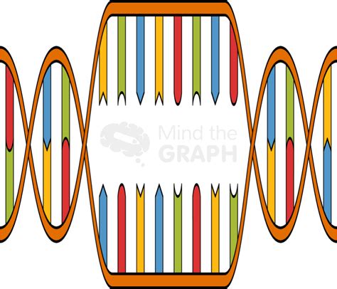 Free Replication Fork 2 Ai Icons Symbols Pictures And Images Mind The Graph