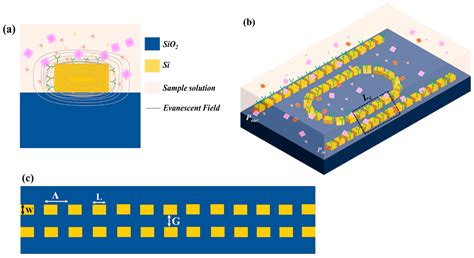 Spectral Envelope Analysis Of Subwavelength Grating Waveguide Micro