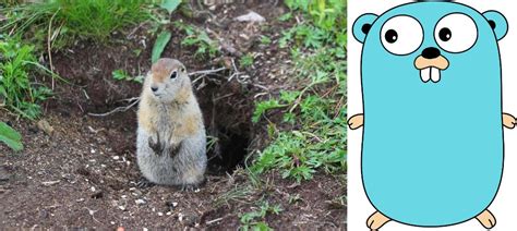 Golang语法基础 背景与初探 Shuzang s Blog