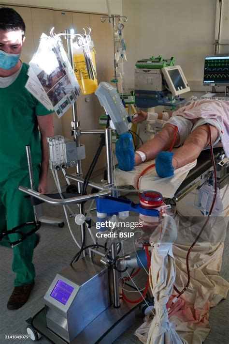 Training Of Medical Interns In The Ecmo Technique Extracorporeal