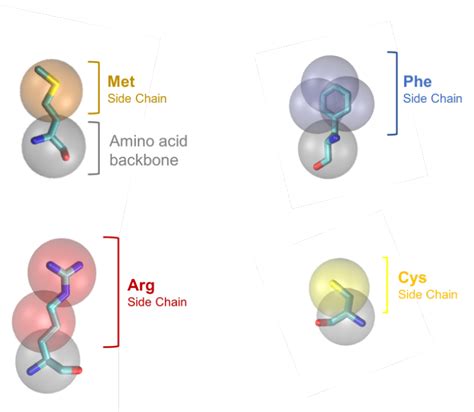 12 conversion of atomistic amino acid structures to coarse grained