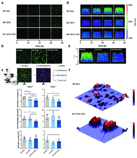 Interference Of Receptor Coated Nanoparticles With Thrombus Formation Download Scientific