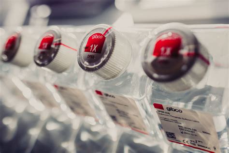 High Quality Reagent Kits For Accurate Lab Testing And Research