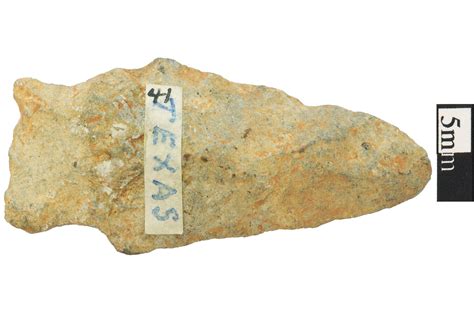 Side Notched Point Prehistoric Stone Tool Smithsonian Institution